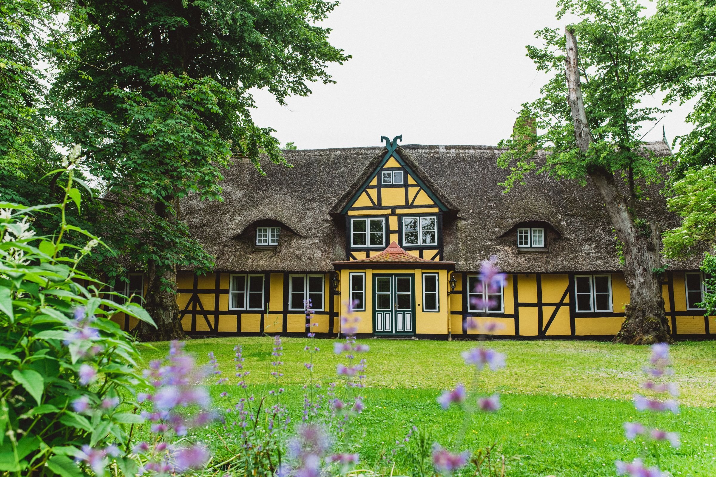 Ferienhaus "Gut Dorotheenthal - Schleiregion"